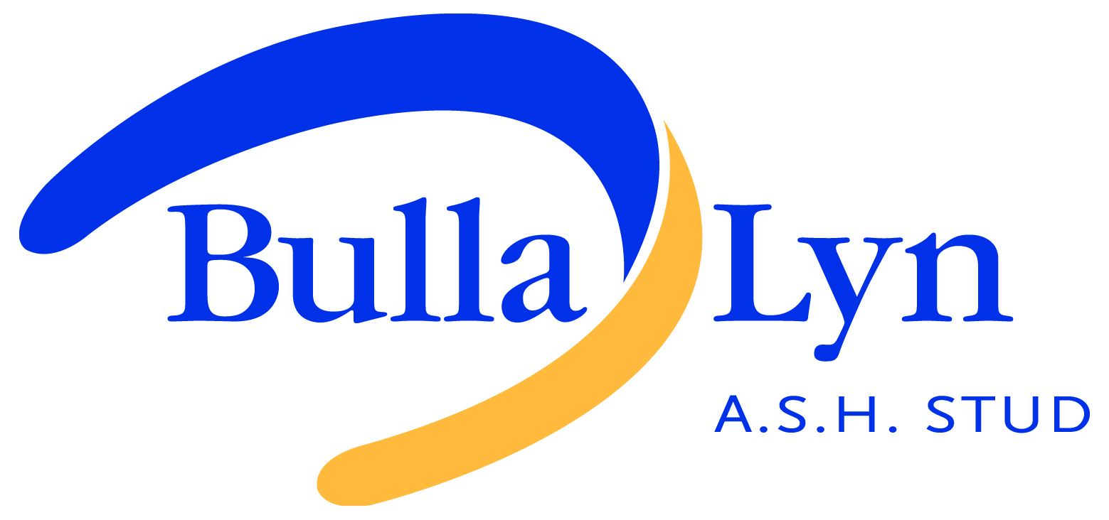 Supports & Donors – Classic Ladies Foundation